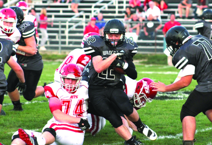 Jets soar over Wildcats | News, Sports, Jobs - The Herald Star